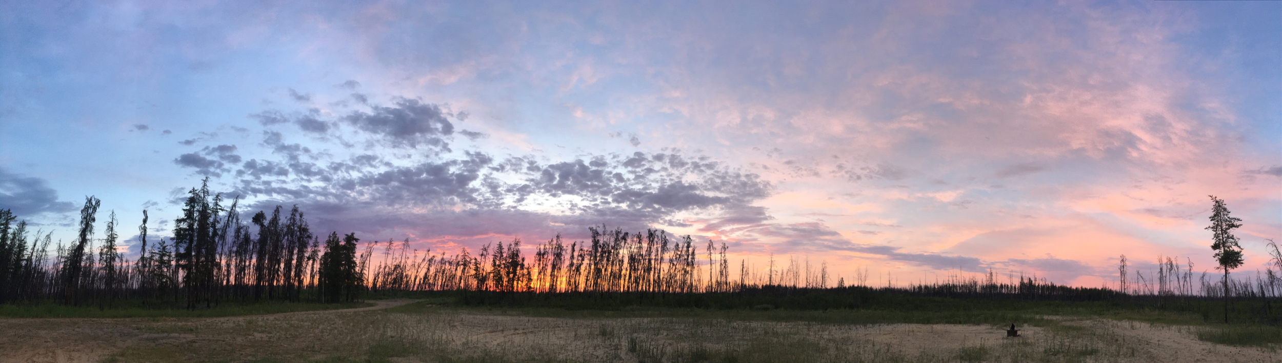Elly Knight – Applied Ecologist